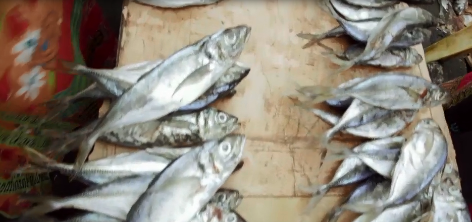 Le prix du poisson revu à la baisse dans les marchés de la RDC [Brand ...