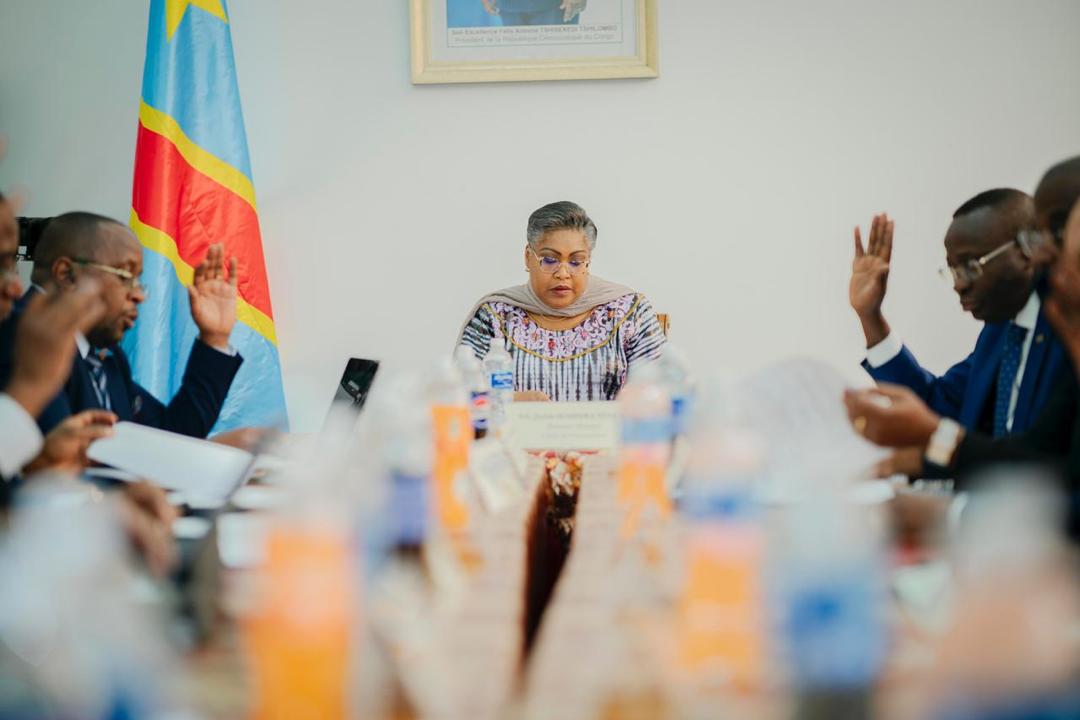 RDC : le Gouvernement passe à l’action pour la ZES de Maluku | Actualite.cd