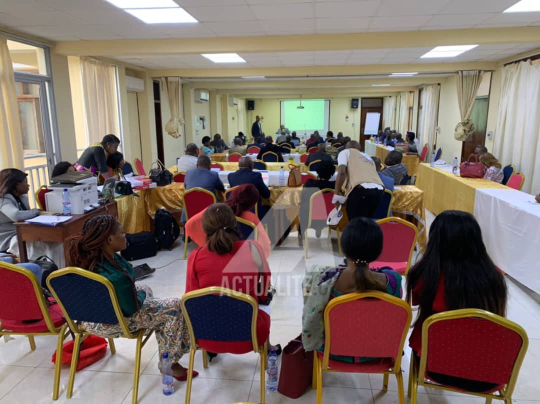 RDC : le comité de pilotage du PICAGL a examiné et validé son plan de ...