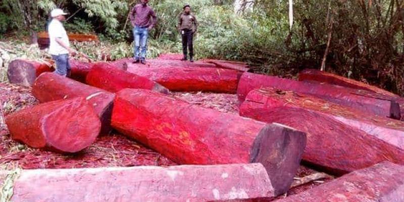 Sud-Kivu: Claude Nyamugabo invite le gouverneur à faire cesser le ...