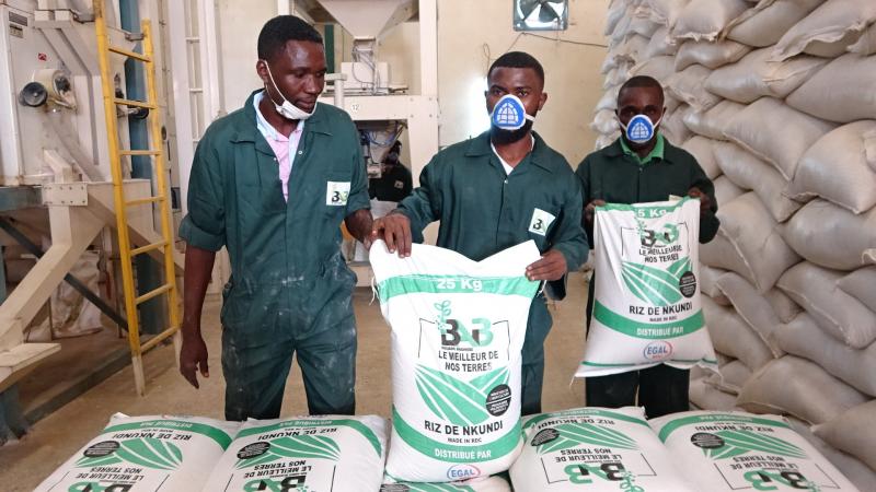 RDC: pour le ministre de l'Agriculture, la production du riz Nkundi est ...