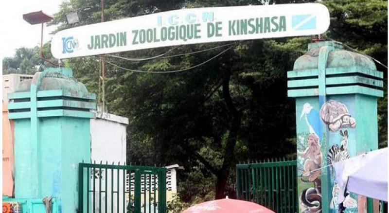 RDC: le zoo de Kinshasa attend toujours sa rénovation | Actualite.cd