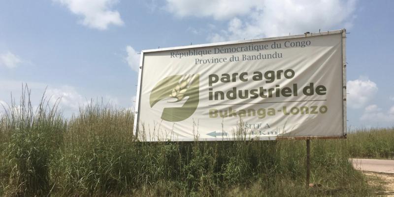 RDC: Hortense Kachoko Matata et Edouard Matata étaient actionnaires ...