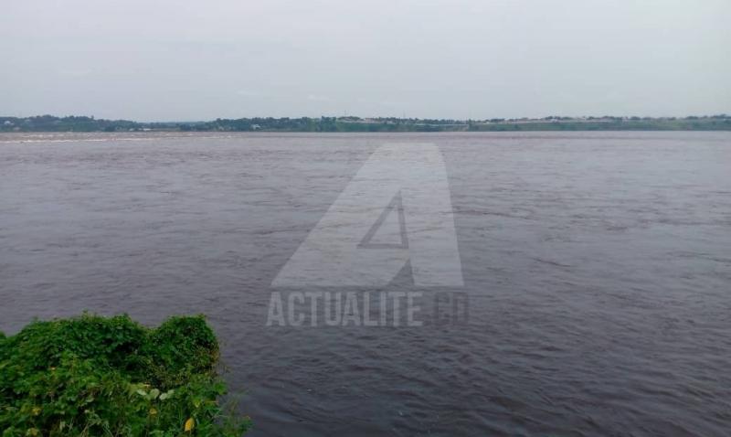 RDC : pêcher dans la mangrove du fleuve Congo | Actualite.cd