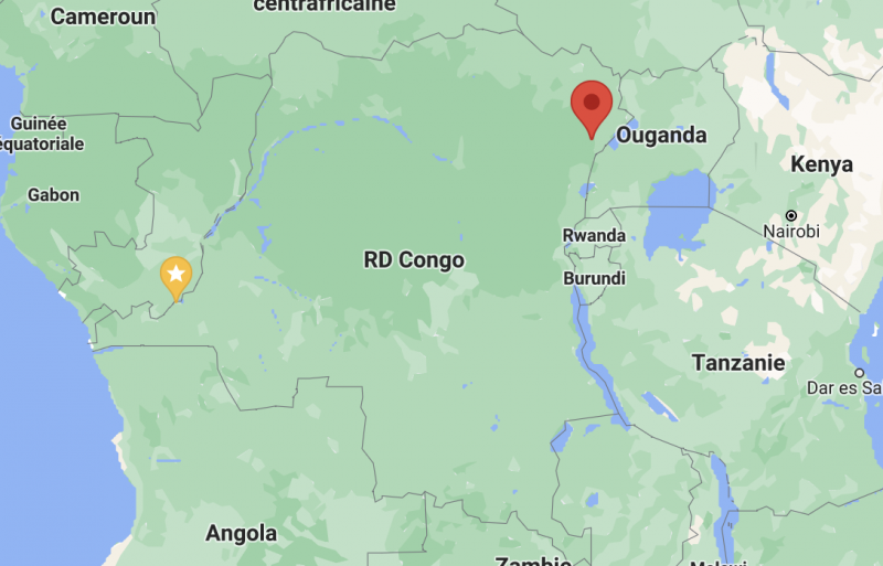 RDC: le gouvernement confirme la thèse du recrutement des combattants ...