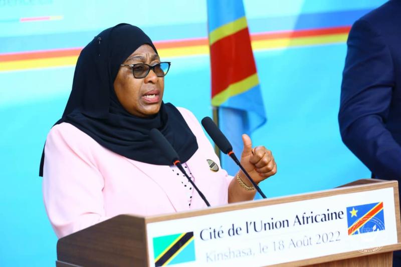 Samia Suluhu réaffirme l’appui de la Tanzanie au secteur sécuritaire de ...