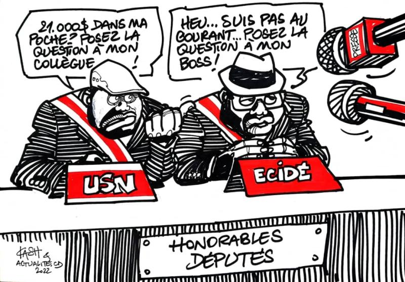 RDC-Caricature: salaire du député, question interdite | Actualite.cd